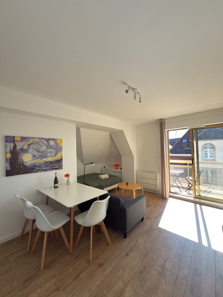 Studio Spacieux Près Du Parlement Européen - 27m² - Strasbourg