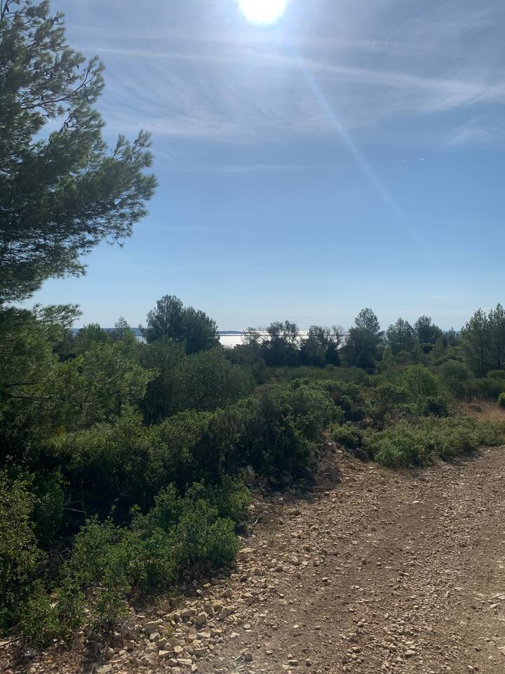 Bel Appartement Au Bord Des éTangs Avec Terrasse - Peyriac-de-Mer