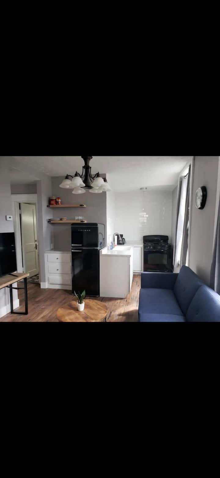 2 Bed West Side Apt In Eclectic Corridor - Grand Rapids, MI