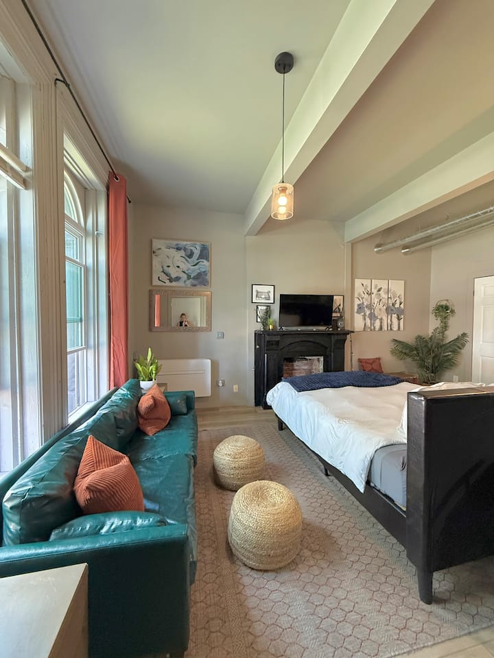 Posh Studio, King Bed, Free Parking - Detroit, MI