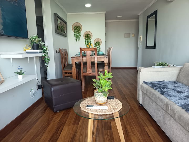 253 Acogedor Depto C/vista Paronamica A Cordillera - Providencia