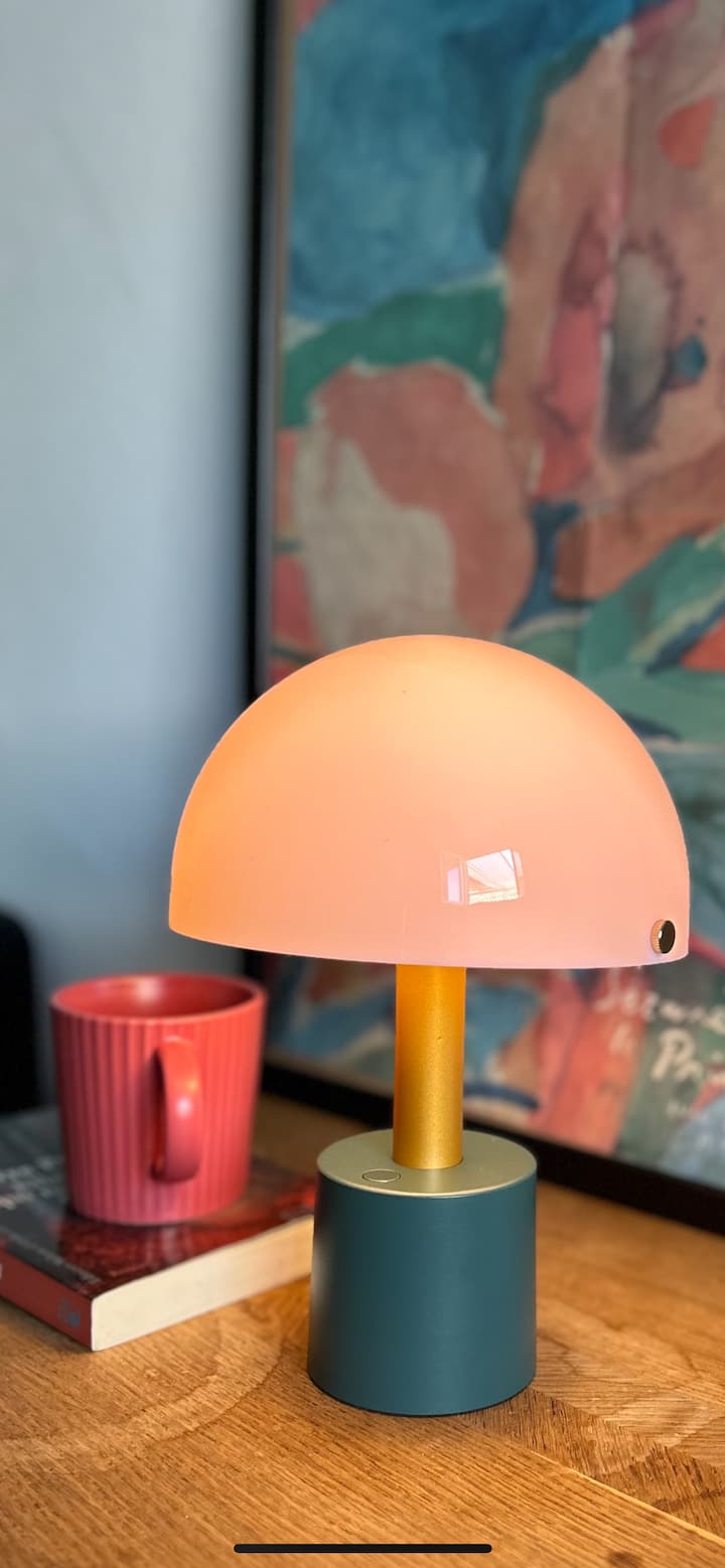 Maison De Vacances à 50 Mètres De La Plage - Vendays-Montalivet