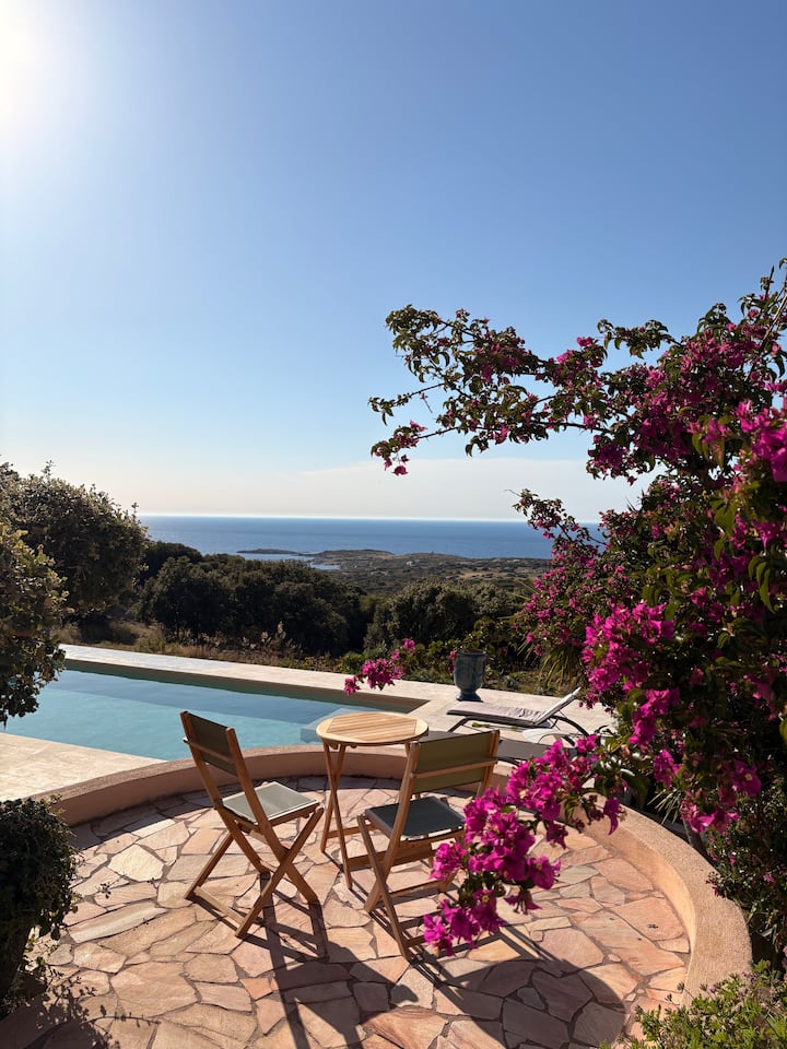 Chambre Double Dans Parc, Vue Sur Mer Et Piscine - Calvi