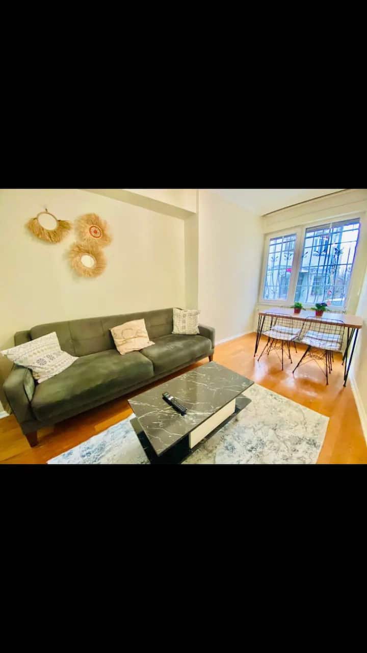 1 Br Spectecular Location In City Center/taksim - Istanbul