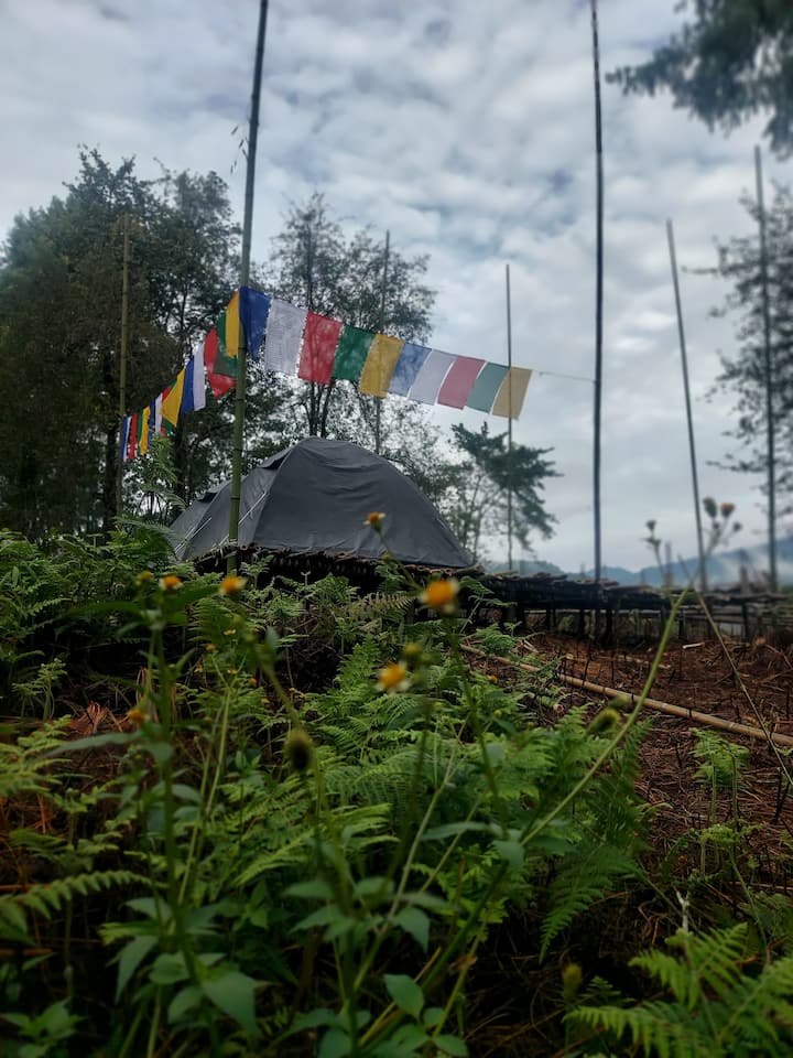 Scenic Ziro Valley Stay - Ziro