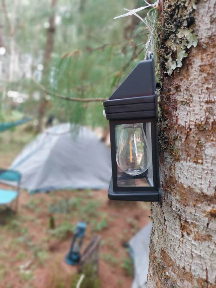 Camp Kangto - Ziro Valley - Ziro