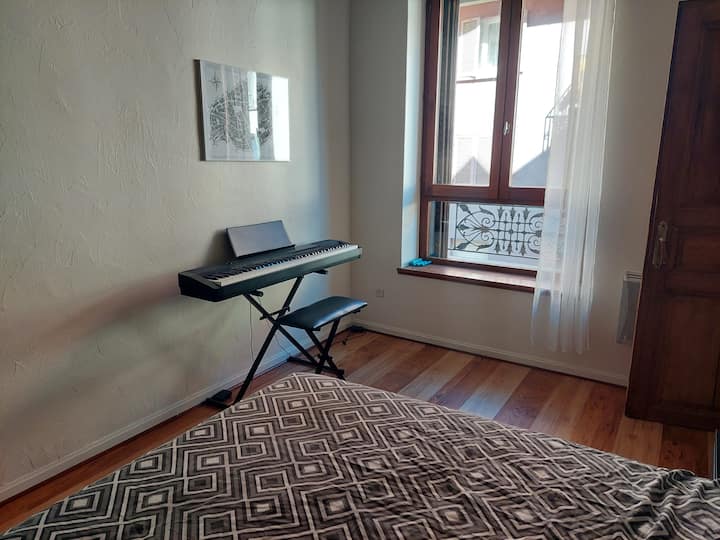 À Deux Pas Du Marché De Noël - Strasbourg