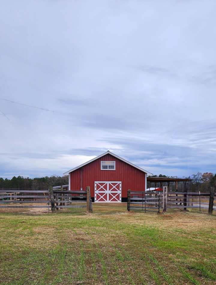 Barnyard Bliss - Alabama