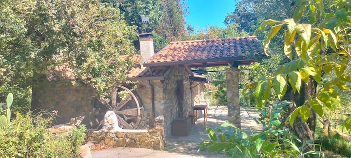 Casetta Nel Bosco,3 Km Da Scario - San Giovanni A Piro