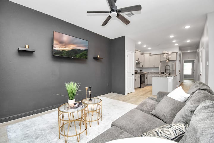 Nice Lux Stay. Near Nrg. Med Center - NRG Stadium - Houston