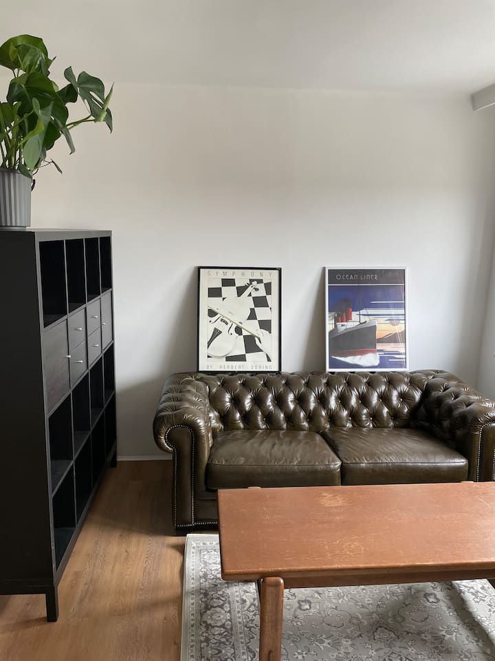 Schöne Wohnung Nähe Bahnhof - Wels
