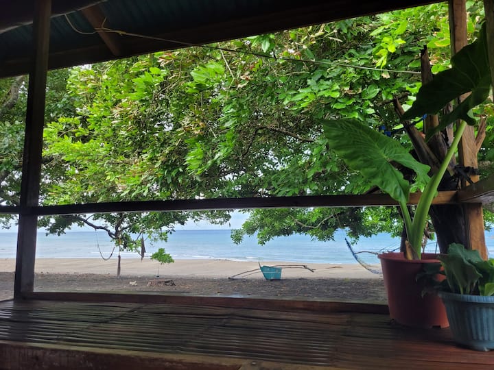 Filipino Heart
- Beachfront Paradise
(Family Size) - Santa Catalina