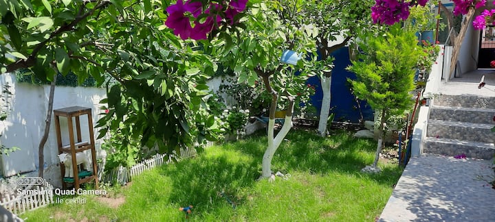 Badem çIçeği Tatil Evi 4 - Dikili