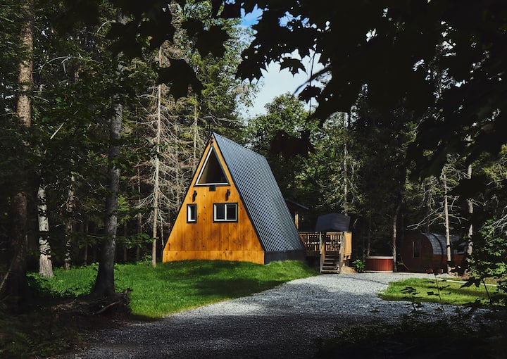 Aframe In The Woods. - Ontario 60