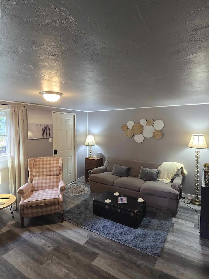 A Cozy Furnished 1 Bedroom Lower Level Apartment. - Black Widow, West Mifflin