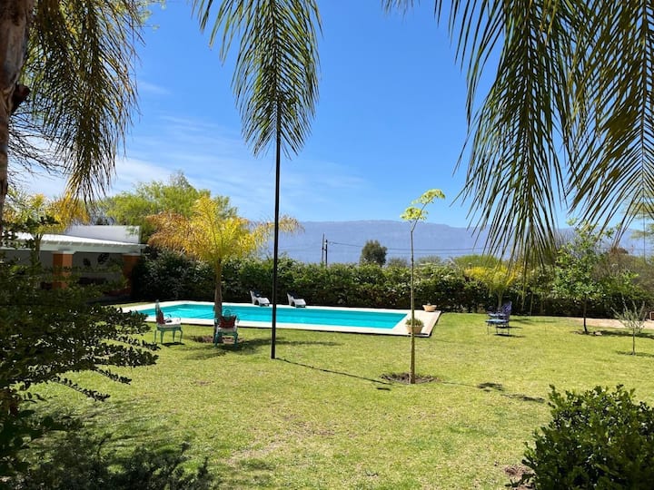 Cepas Del Valle - Chilecito