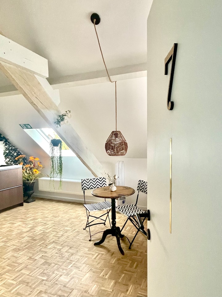 Whisker Woods Studio ~ Maison Nelle, Centrum : ) - Mechelen