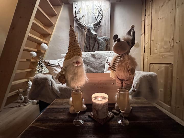 Chalet: Mazot Savoyard Au Pays Du Mt Blanc - Ibis Budget Sallanches