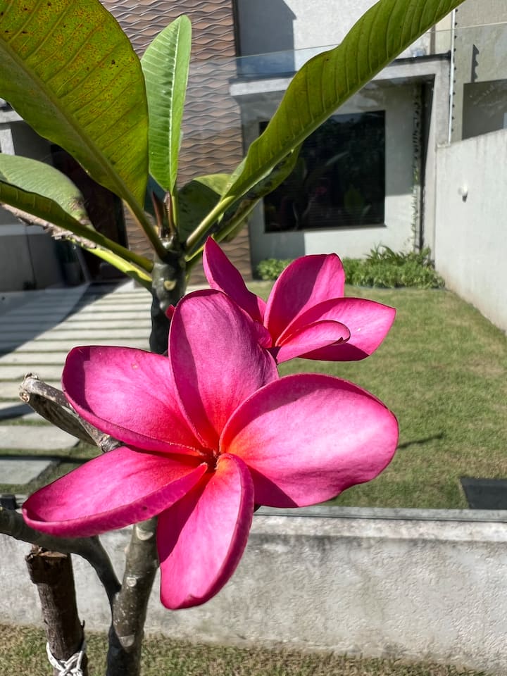 Casa De Férias - Guaratuba