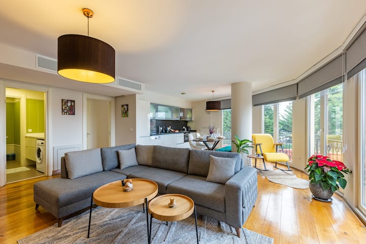 Luxury Home In Center Of Taksim - Cihangir