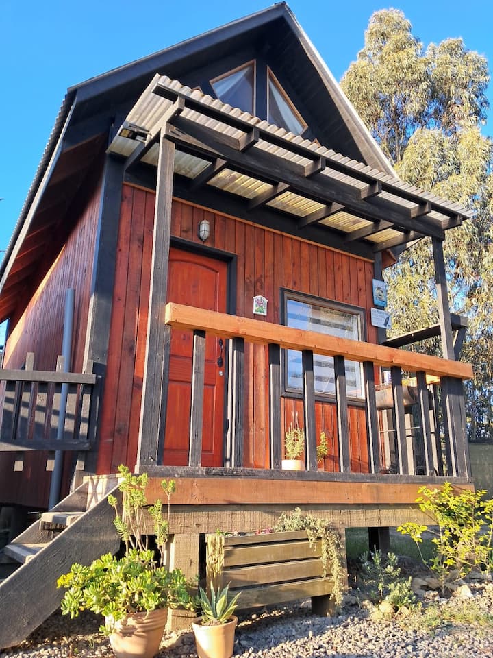 Tiny House Surazo, Pichilemu - Pichilemu