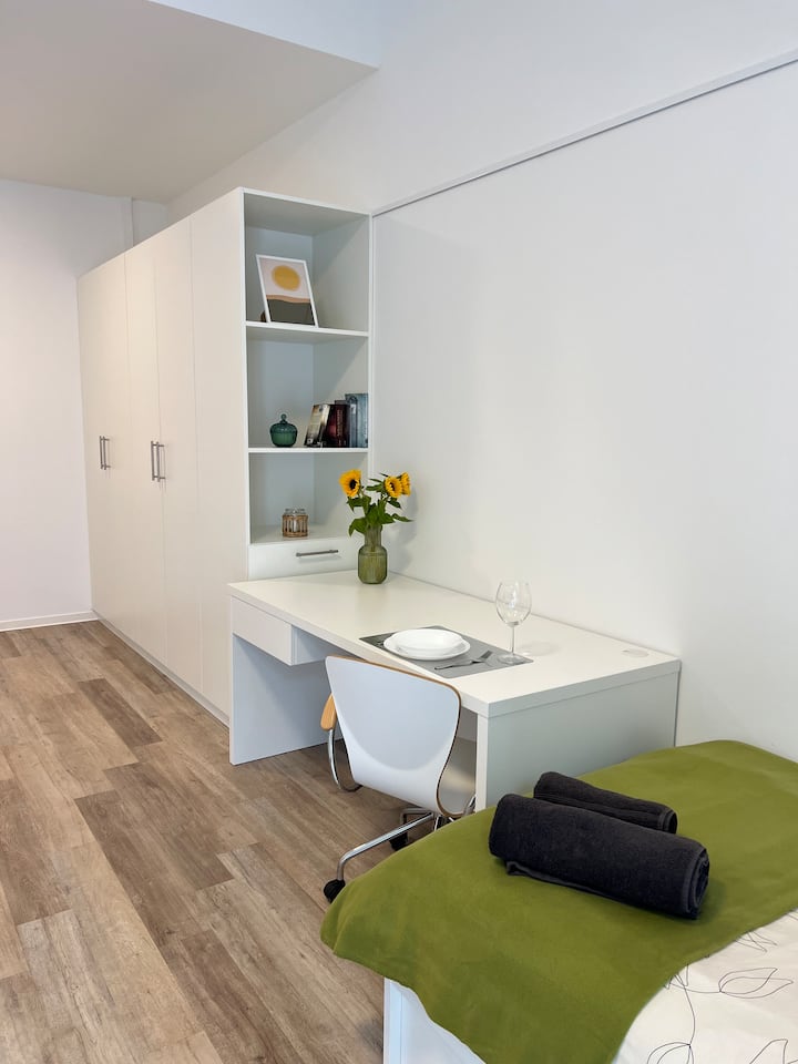 Moderne 1- Zimmer Wohnung In Wiesbaden - Wiesbaden