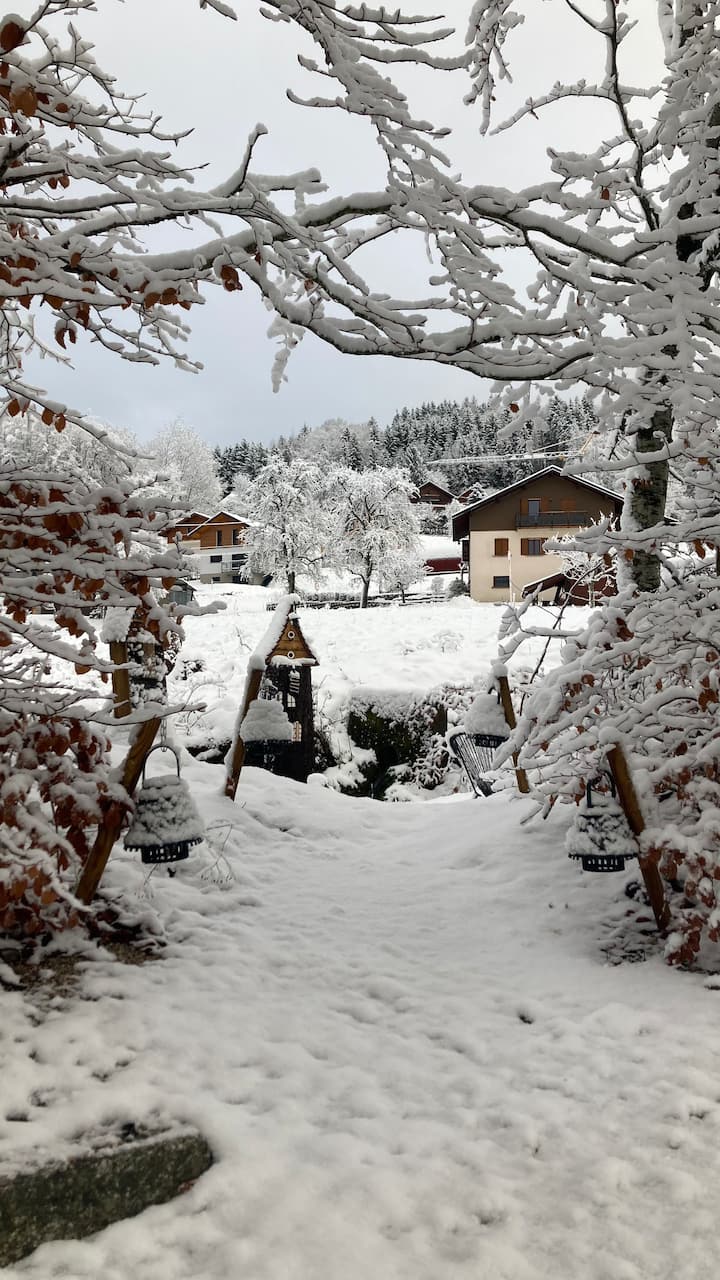 O Songes De Saxel-appartement Mont Blanc 1/4 Pers - Bellevaux