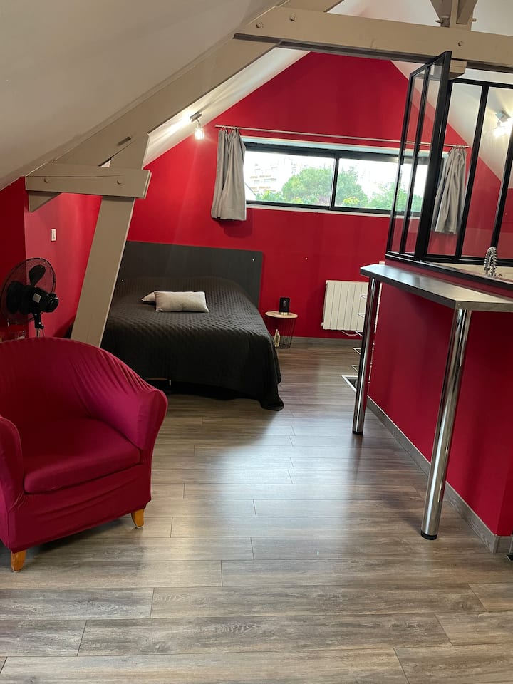 Grand Studio Dans Quartier Calme - Angers