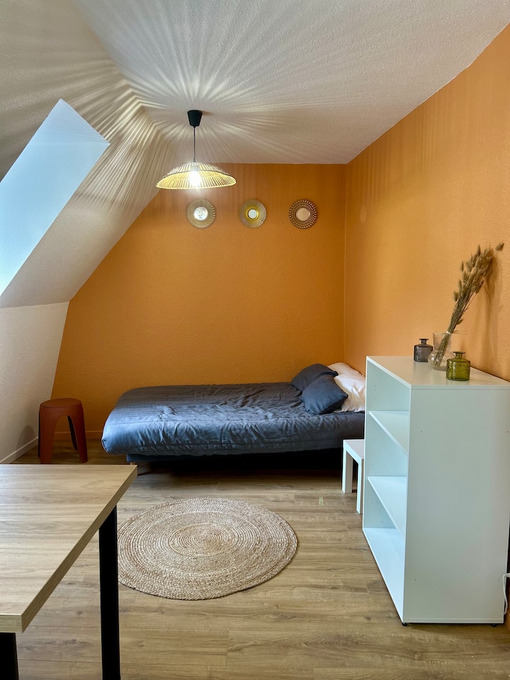 Studio In The City Center - La Bourboule