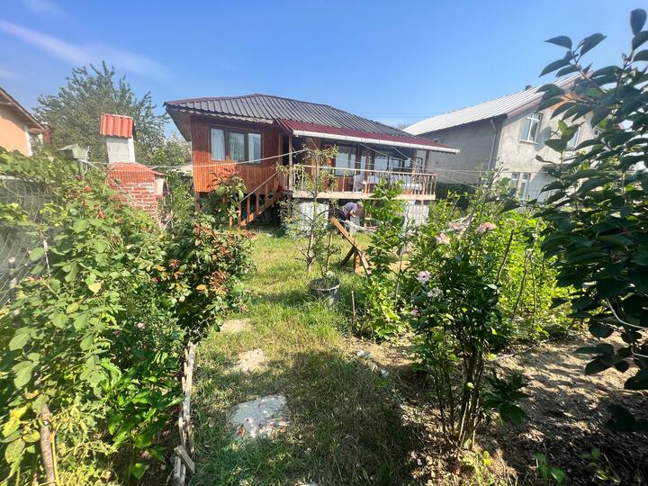 Relaxing House In The Nature - Kartepe