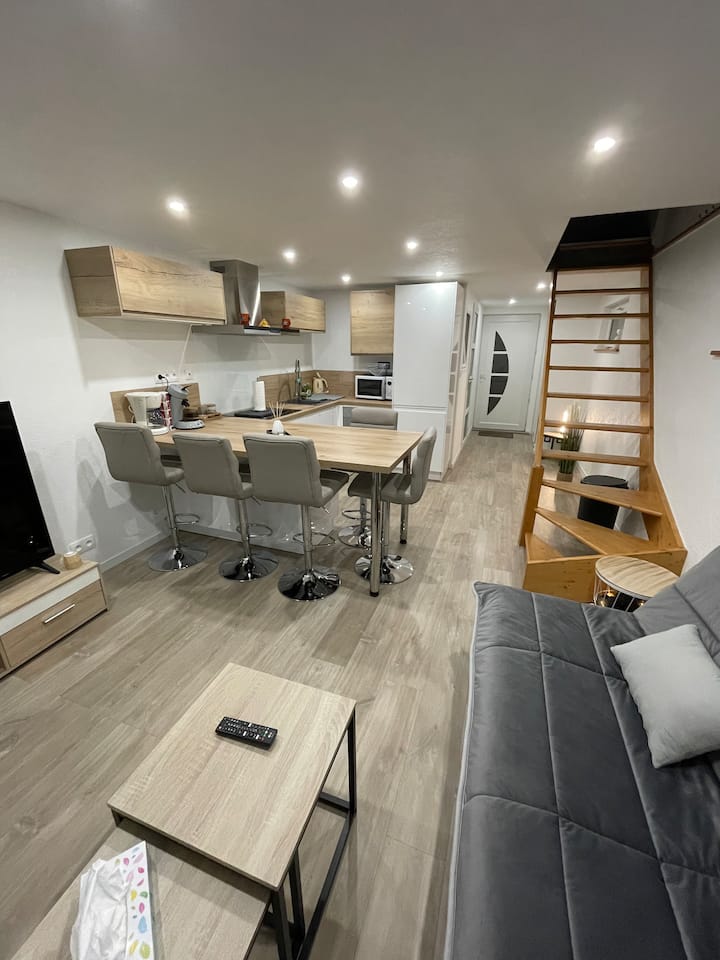 Appartement Rénové - Ihringen