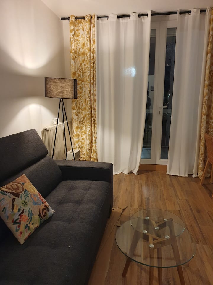 Canapé-lit Confort Dans Un Appartement - Toulouse