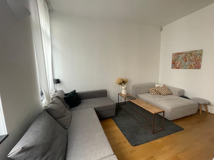 4 Persons Flat In Brussels - Bryssel