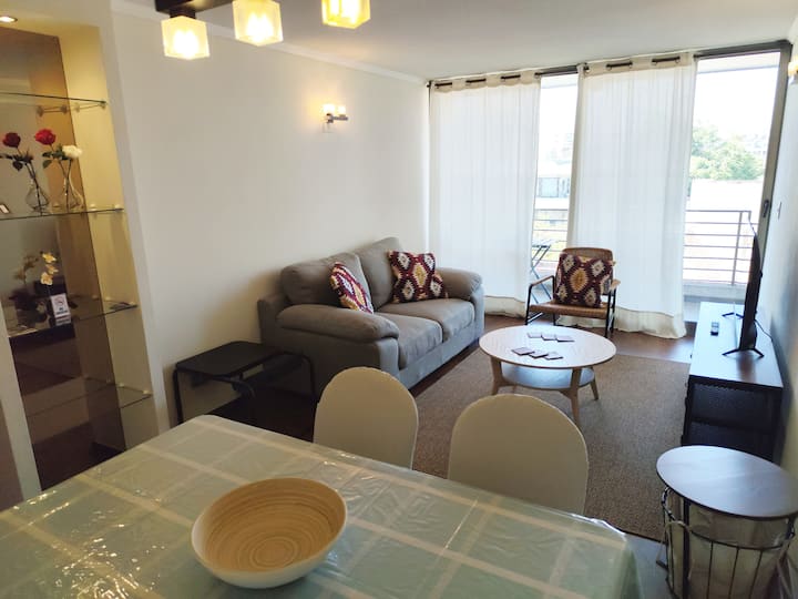 Providencia 2br 2ba Apt + Private Parking - Providencia