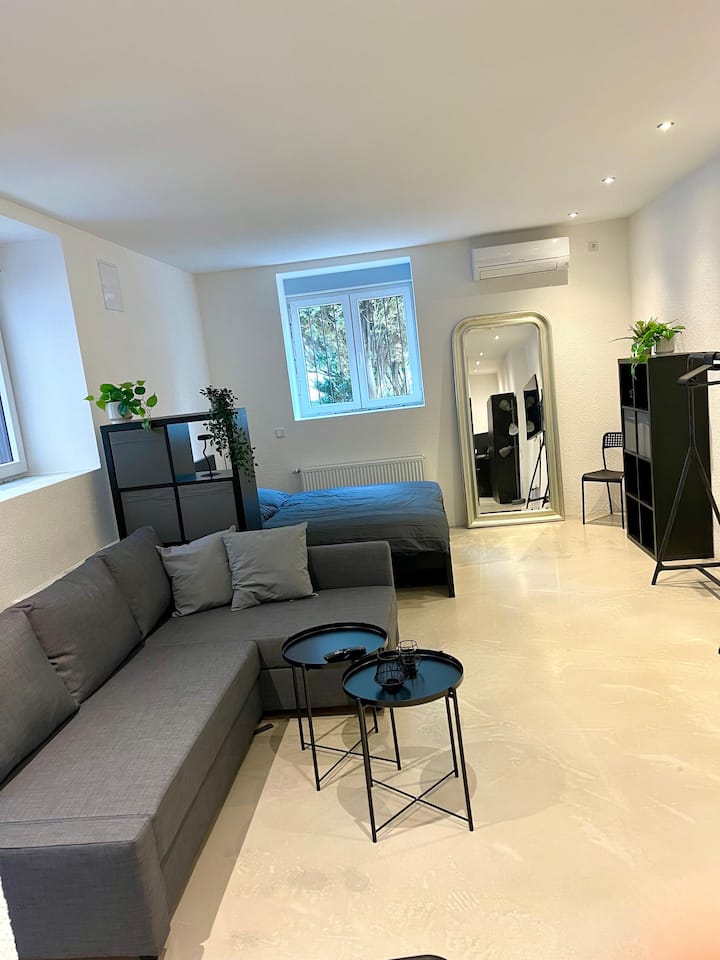 Sehr Mod. Wohnung Uni/stadtnähe - Saarbrücken