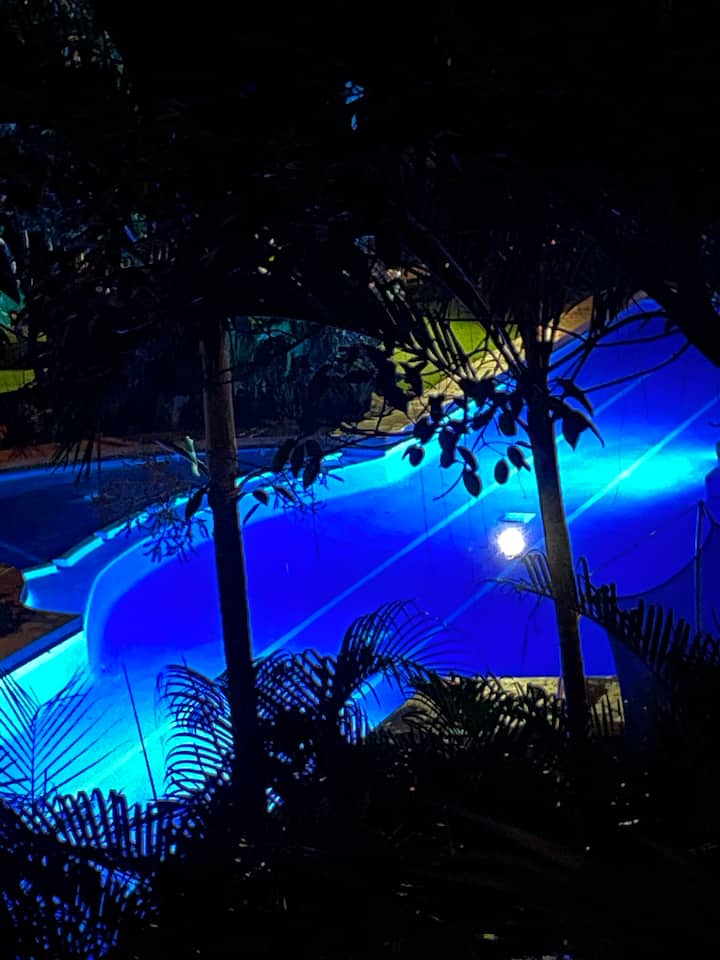 Paraíso Natural En Playa Del Carmen - Cozumel