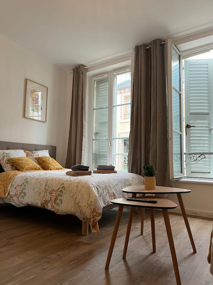 Studio 《Chaleureux》bourgogne - Orléans
