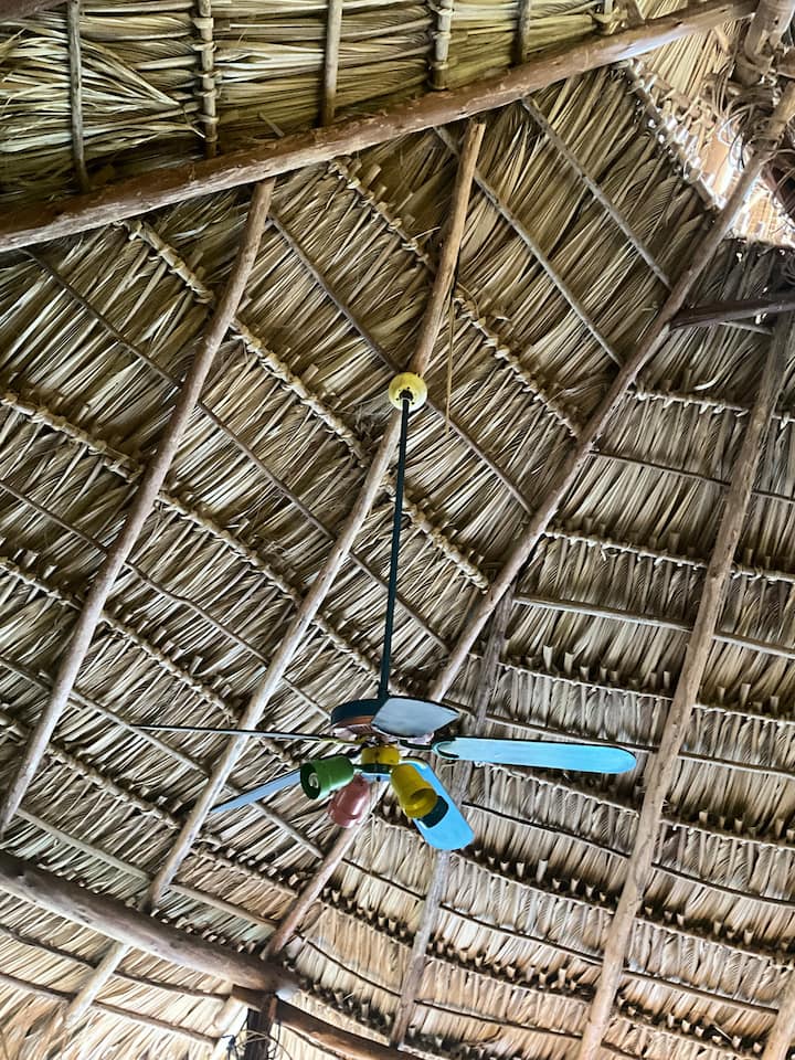Serendipia, Casa Entera, Finca Malinche. - Nicaragua