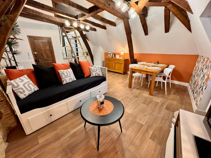 Grand Studio, Cœur Historique ! - Châteauroux