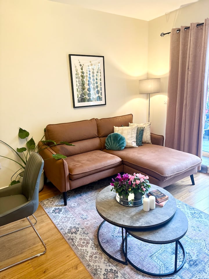 A Entire Apartment Croke Park - Dublin