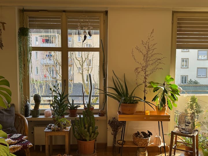 Quiet And Charming Apartment In Basel - Basel