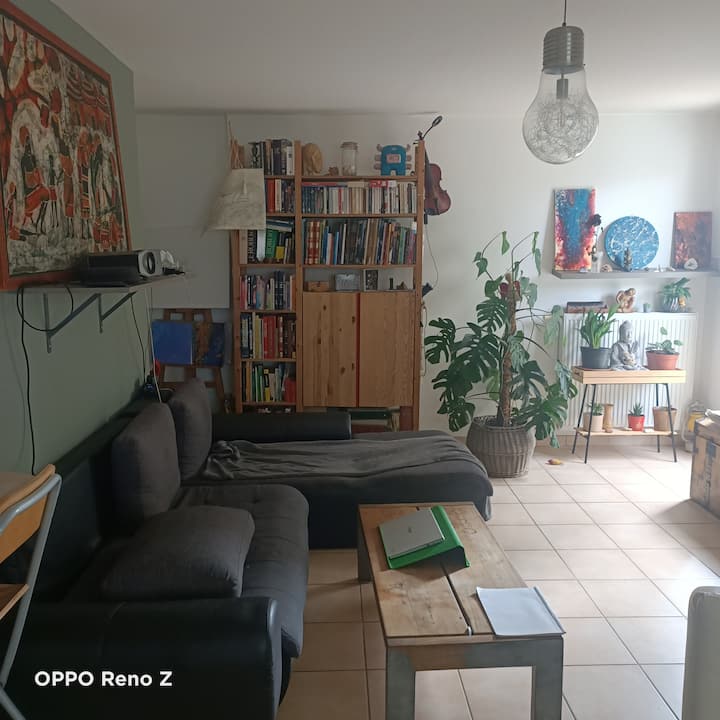 Chambre à Louer Dans Un Beau T3 Avec Terrasse - Meylan