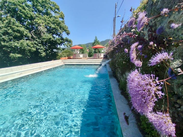Collares Sintra Petit Palais S1 - Sintra