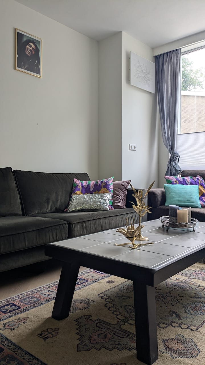 Family House In Amsterdam - Amsterdam