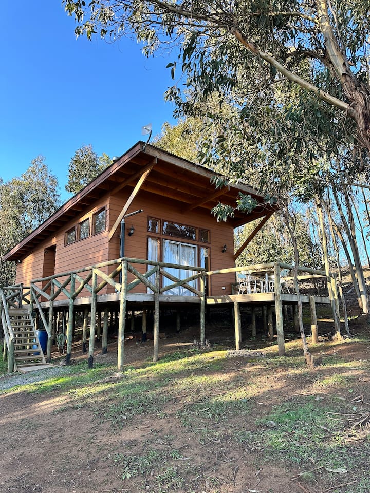 Cabaña 5 - Angol