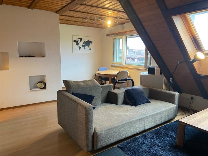 Céntrico, Y Confortable - Bern