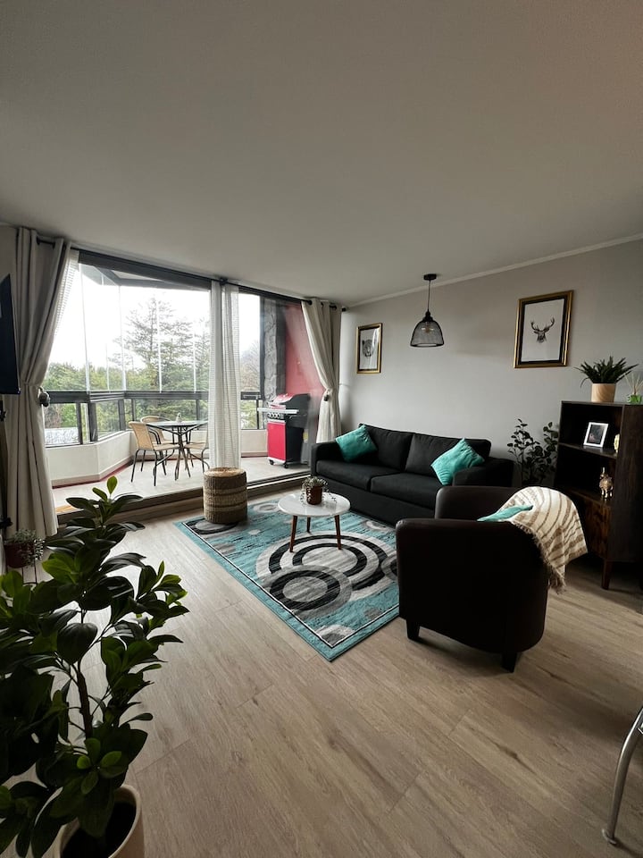 Pucón Dpto Comodo Y Excelente Ubicación - Pucón