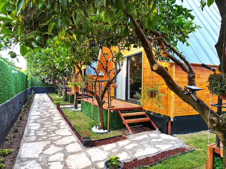 Adrasan Aysin Villa’s - Adrasan