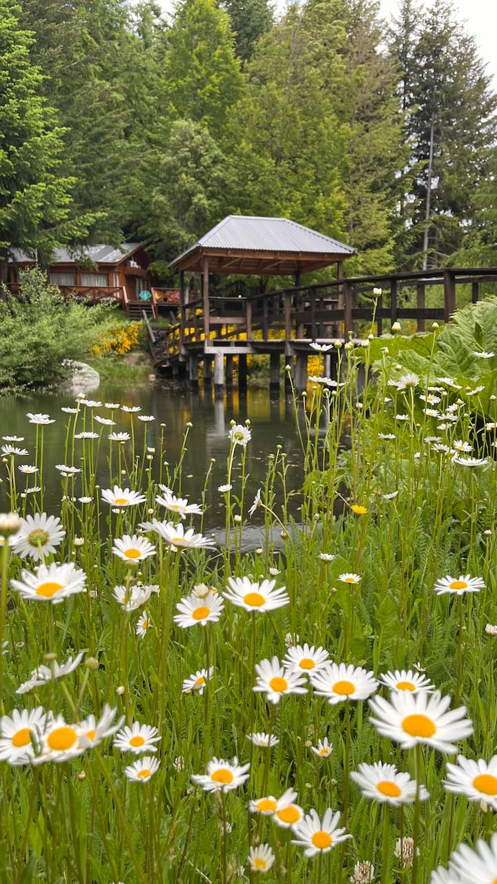 Forest And Water House - Villa La Angostura