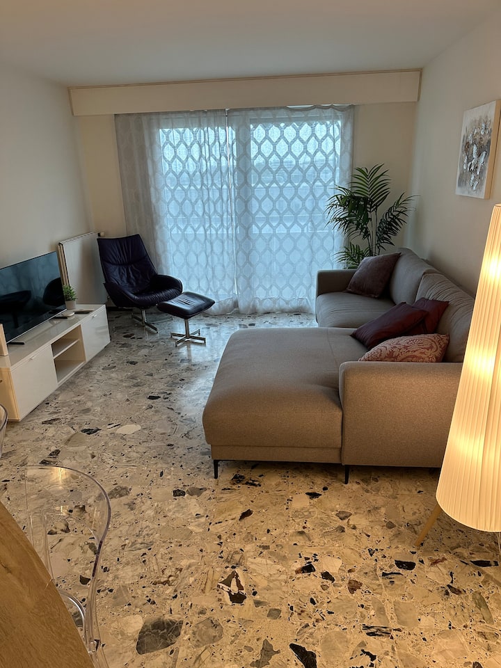 Spacious Renovated With View - Kanton Genf